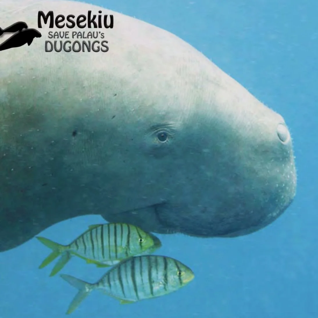 Projects — Etpison Museum