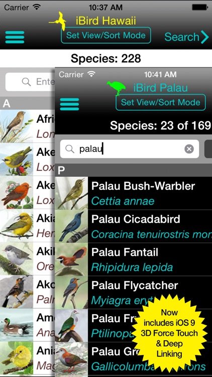 Endemic Birds of Palau — Etpison Museum