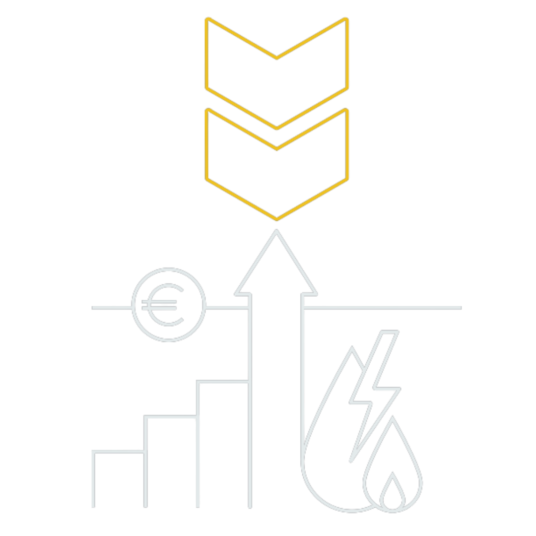 Intiative Chief Energy Officer