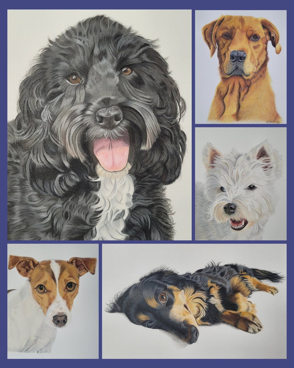 Pet portraits and wildlife artist | CM Creative | South Wales, UK