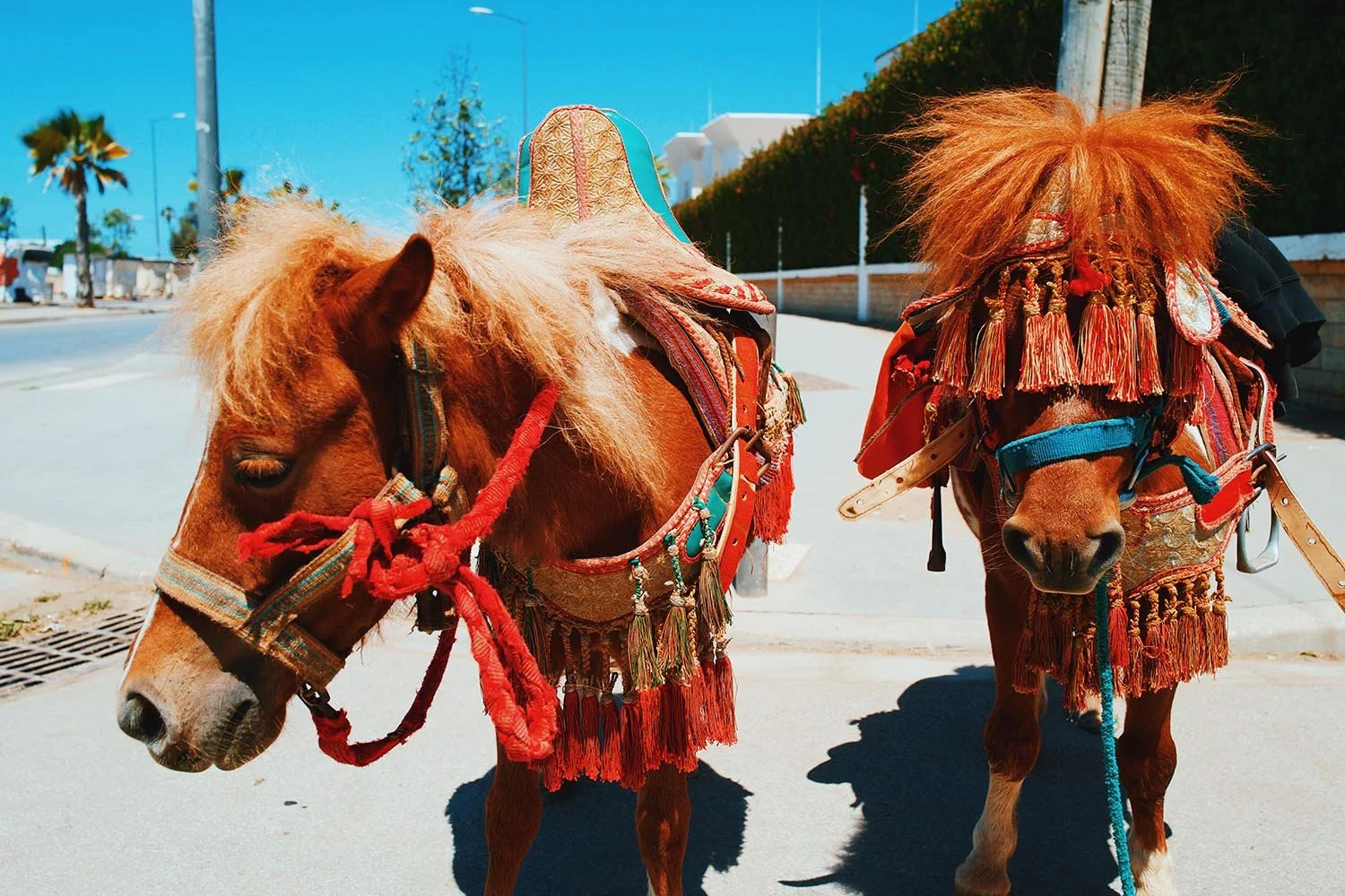 Ben Pobjoy | The Marathon Earth Challenge