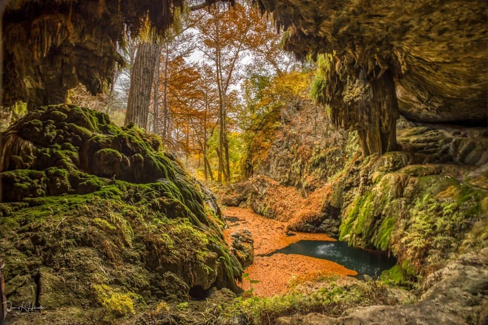 Westcave Outdoor Discovery Center