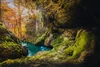 The Guided Canyon Tour — Westcave Outdoor Discovery Center