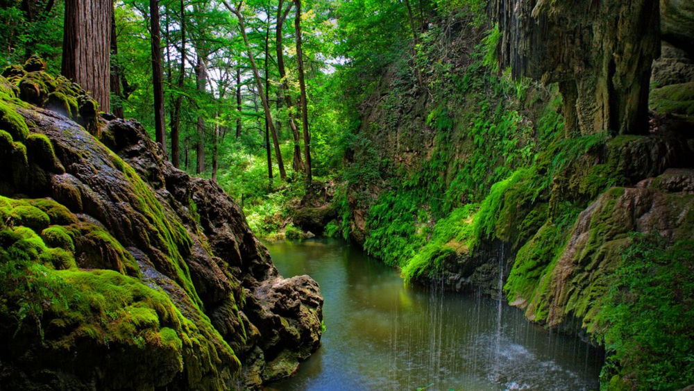 Westcave Outdoor Discovery Center