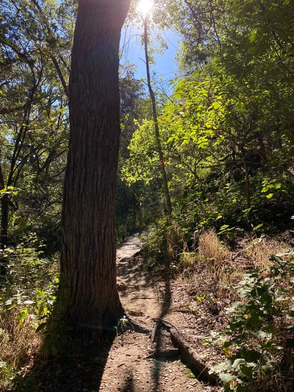 Specialty Hikes and Events — Westcave Outdoor Discovery Center