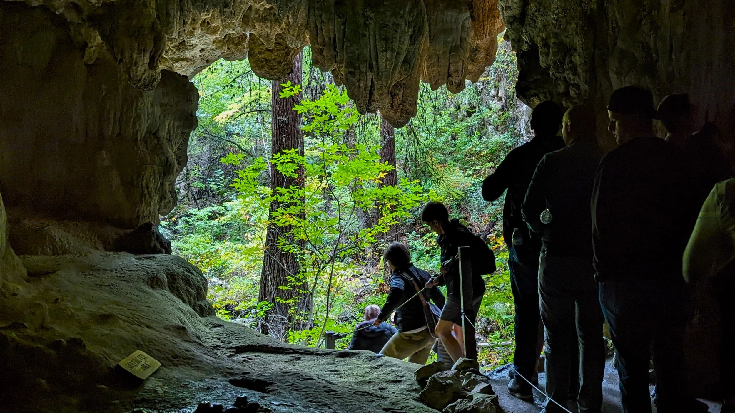 Research — Westcave Outdoor Discovery Center