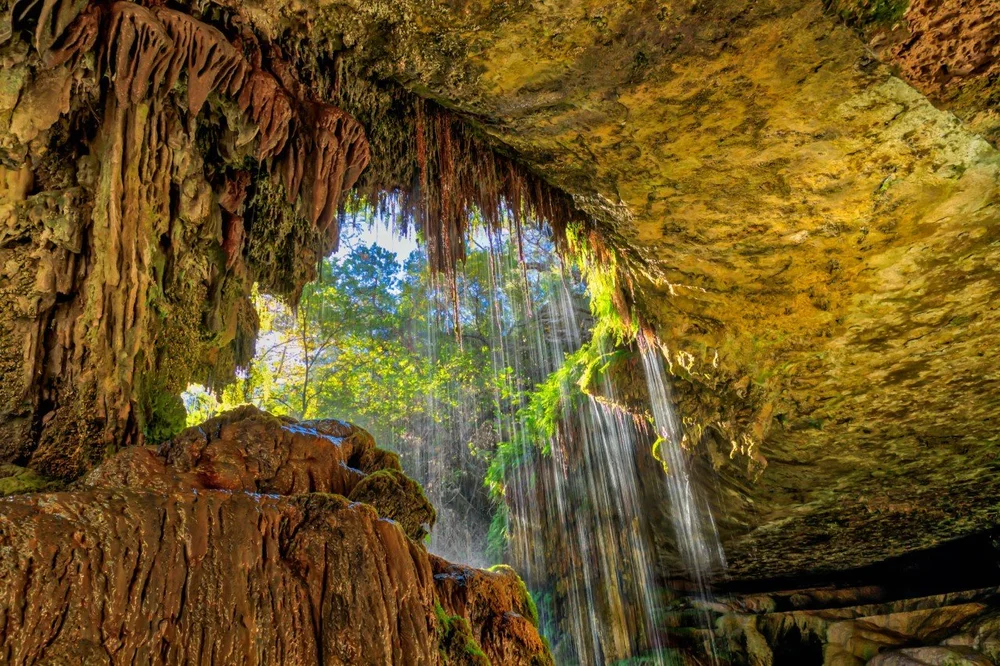 The Guided Canyon Tour — Westcave Outdoor Discovery Center