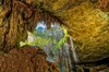 The Guided Canyon Tour — Westcave Outdoor Discovery Center