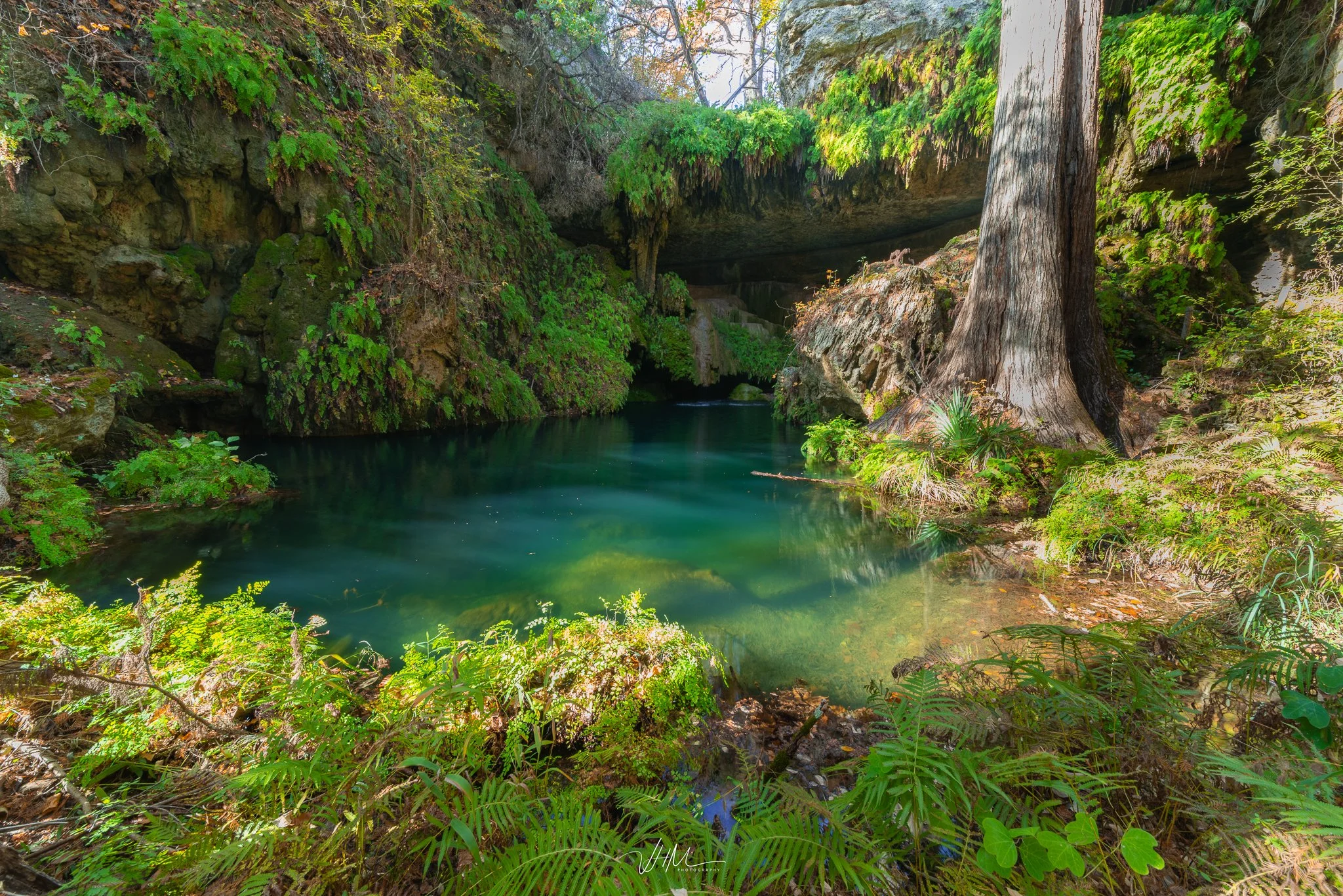 The Guided Canyon Tour — Westcave Outdoor Discovery Center