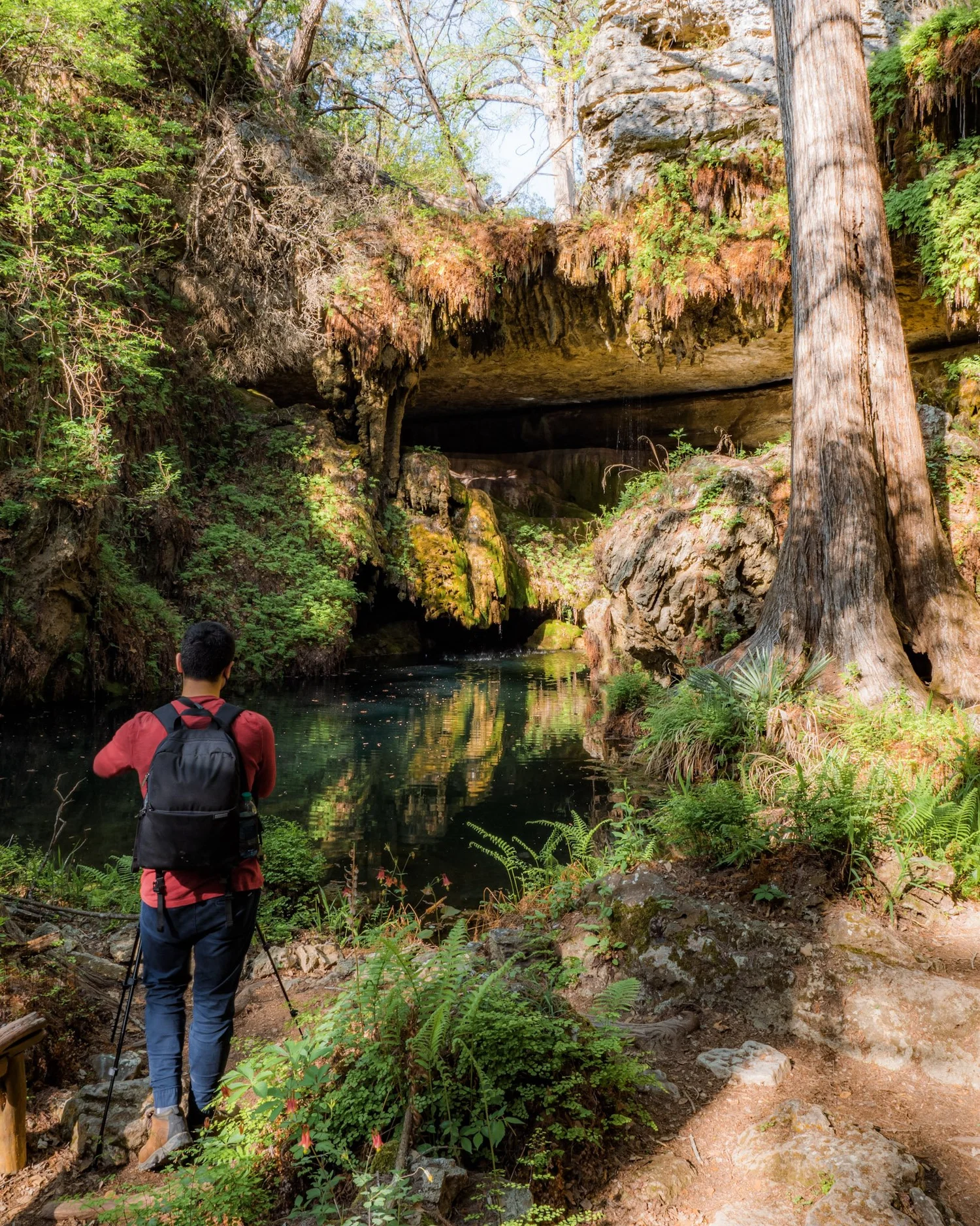 Westcave Outdoor Discovery Center