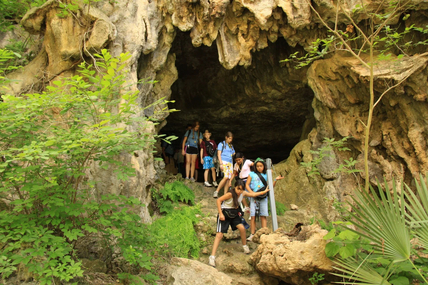 Westcave Outdoor Discovery Center