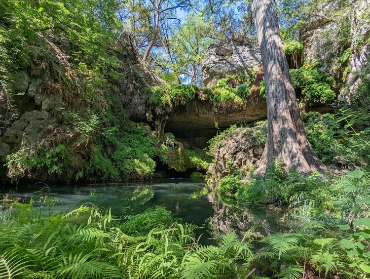 The Guided Canyon Tour — Westcave Outdoor Discovery Center