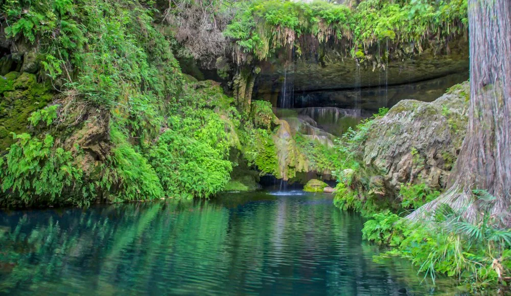 About — Westcave Outdoor Discovery Center