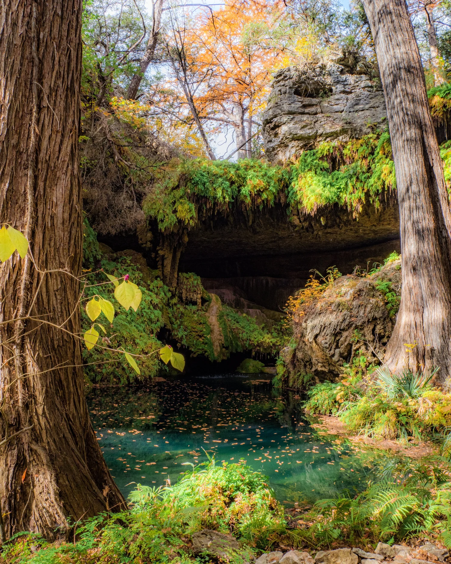 Westcave Outdoor Discovery Center