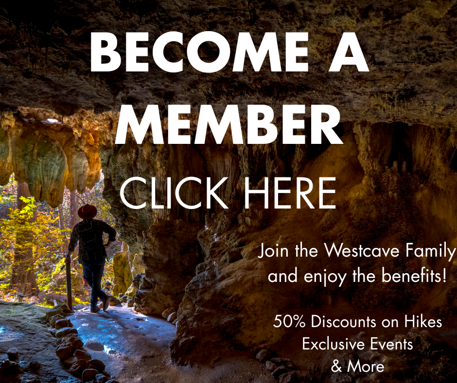 Westcave Outdoor Discovery Center