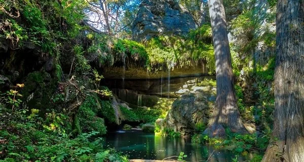 Specialty Hikes and Events — Westcave Outdoor Discovery Center