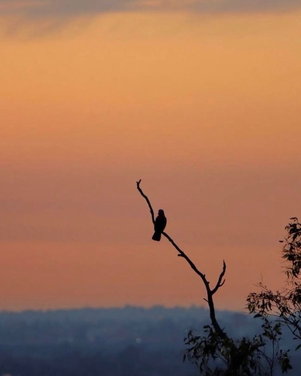 I believe I was put on this earth to teach people about their most ...