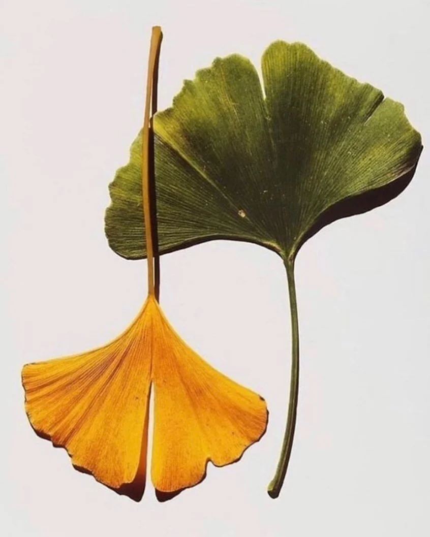 5 Things That Surprise New Vedic Meditators — Erin Hoey