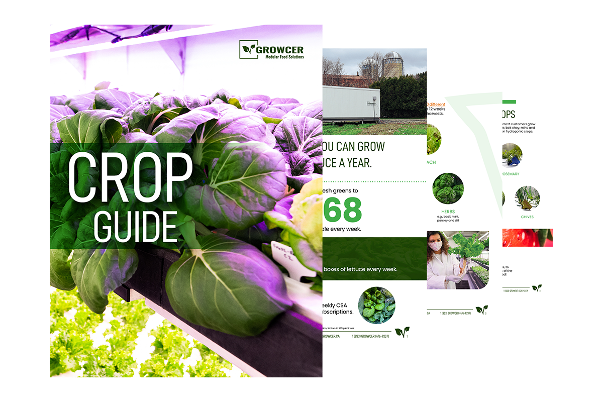 Guides — Growcer