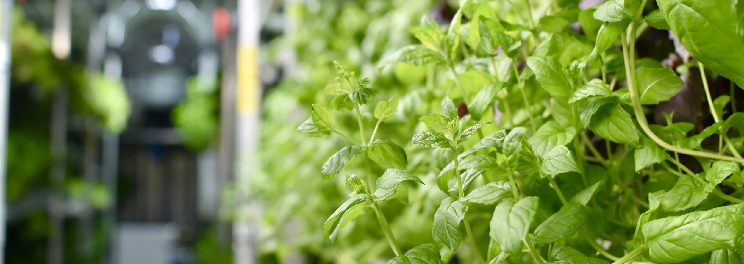 Frequently Asked Questions — Growcer