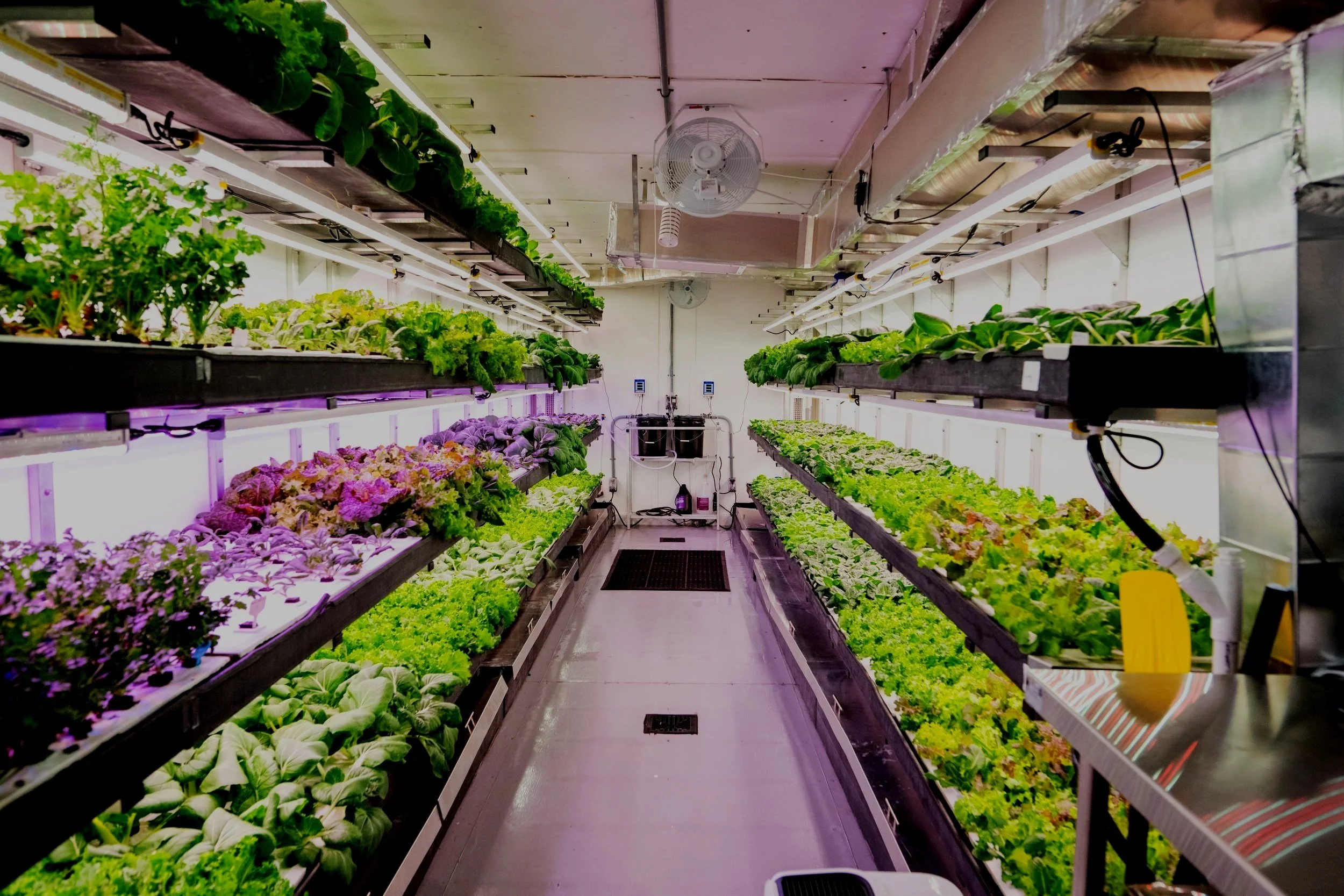 Take a Virtual Modular Farm Tour — Growcer