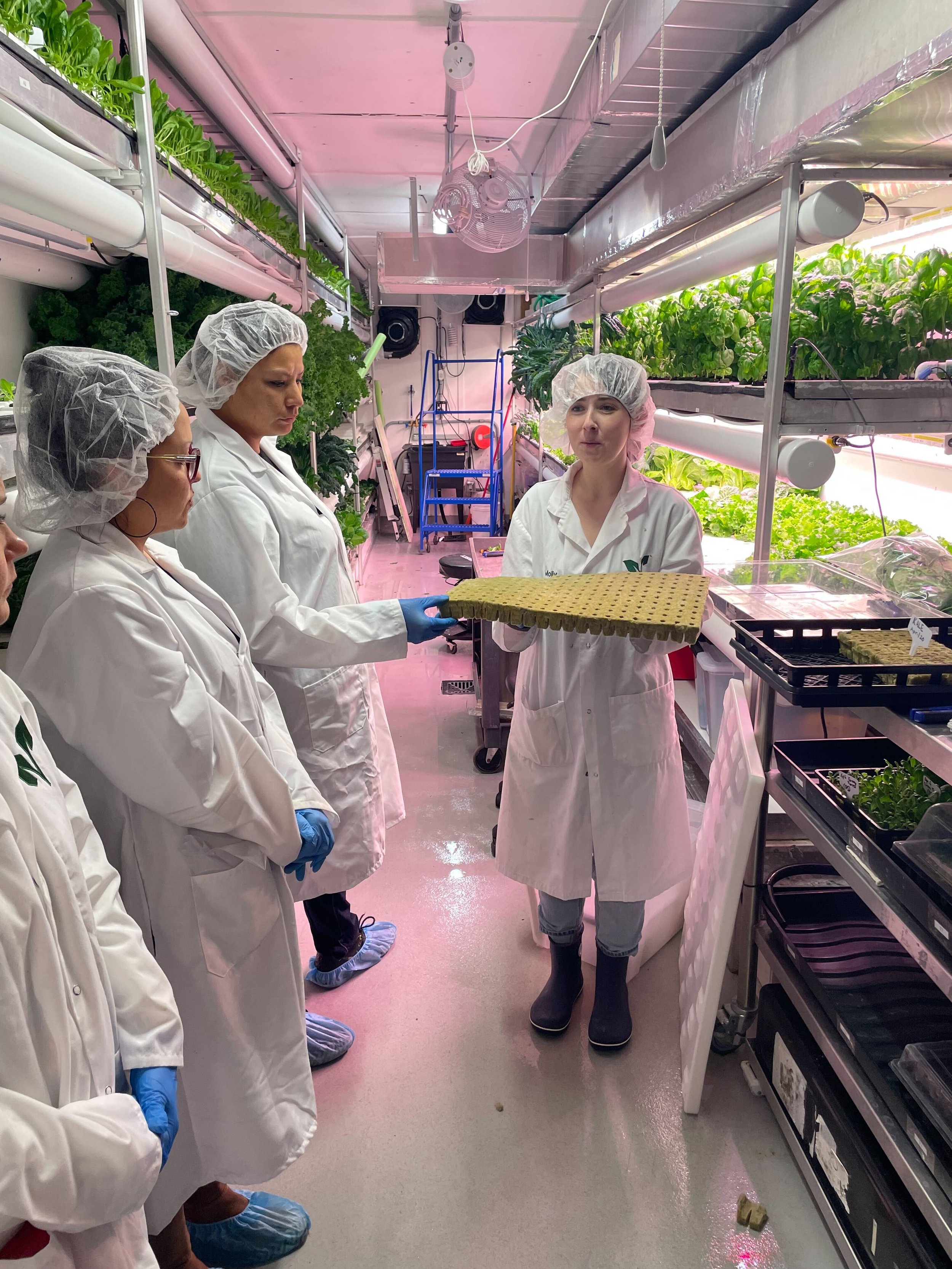 How has vertical farm design changed over the years? — The Growcer