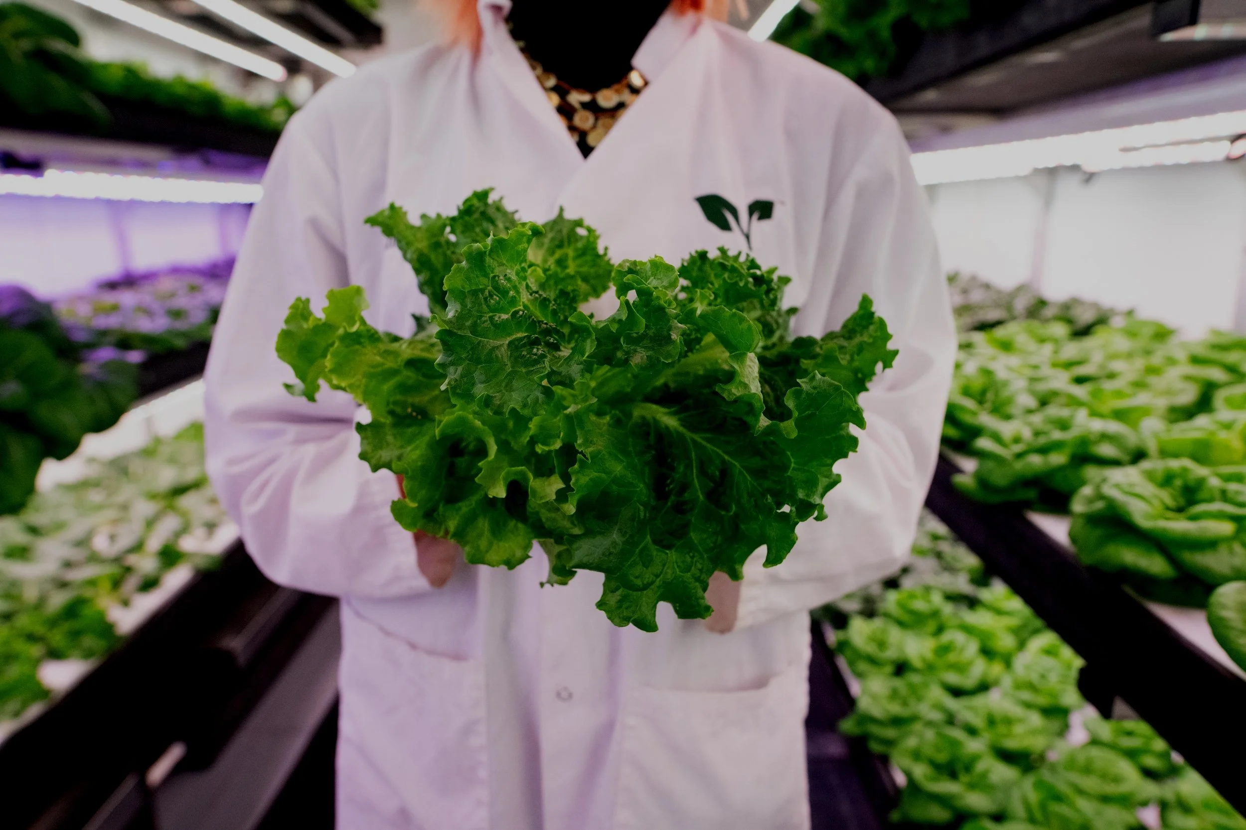 Get Started | Grow Produce in Modular Farms — Growcer