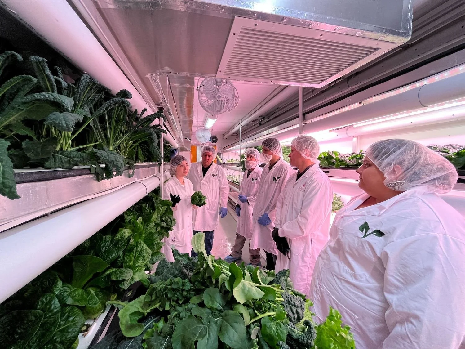 10 Mistakes You Don’t Want to Make When Buying a Vertical Farm — The ...
