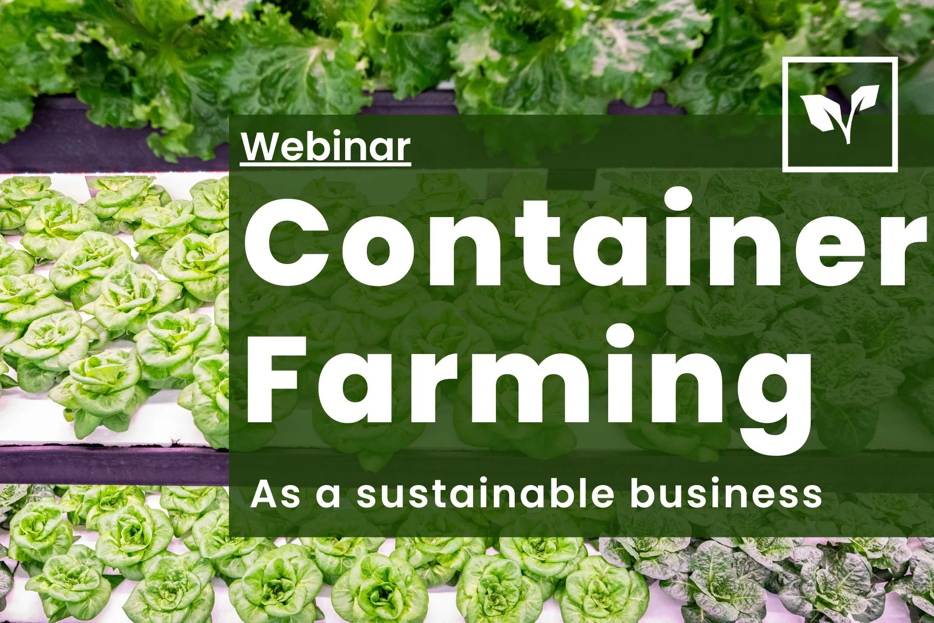 7 Important Benefits of Urban Farming — The Growcer