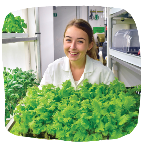 Careers @ Growcer — Growcer