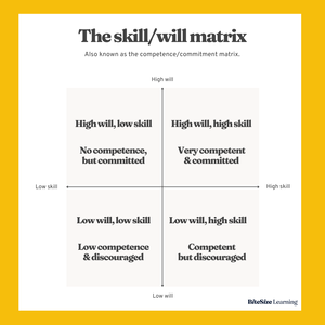 Skill/Will matrix explained | Leadership styles for managers [With ...
