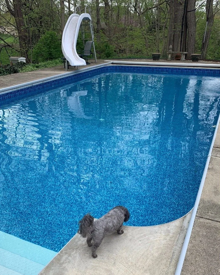 Service — SCOTT POOLS