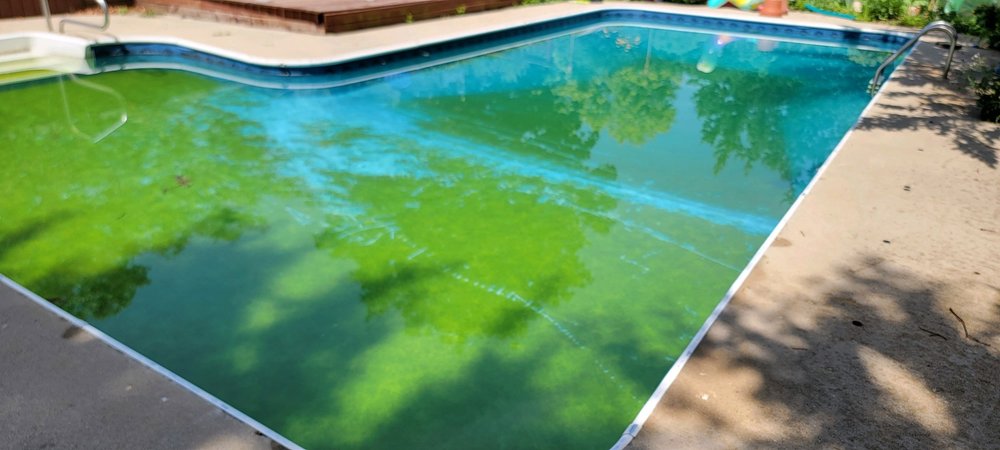 Service — SCOTT POOLS