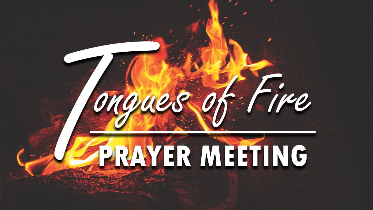 Sword & Shield Church