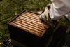 Buzzing Bees Emit A Healing Vibrational Frequency — Ginkgo Farms