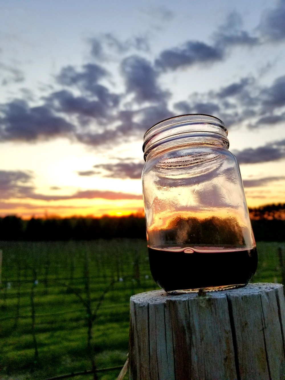 Yellow House Vineyard