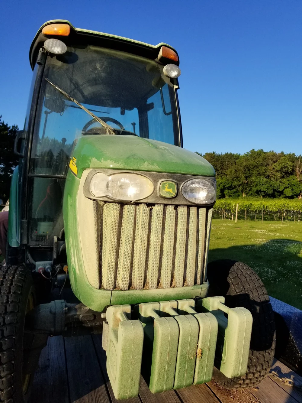 Yellow House Vineyard