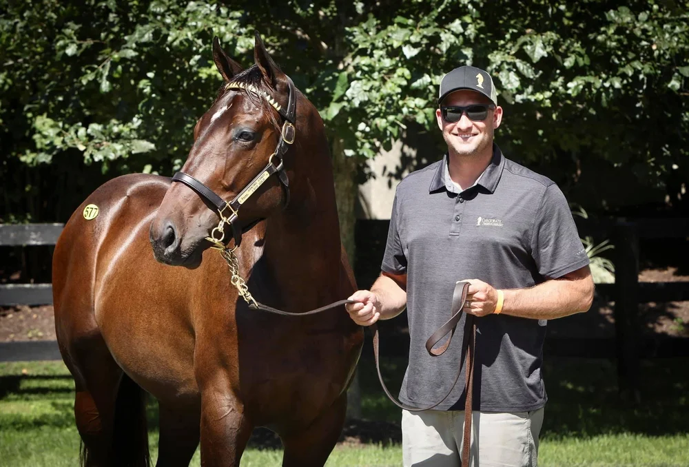 Checkmate Thoroughbreds | Thoroughbred Boarding, Bloodstock & Sales