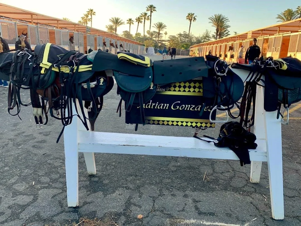 Checkmate Thoroughbreds | Thoroughbred Boarding, Bloodstock & Sales