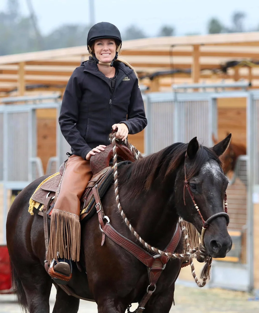 Checkmate Thoroughbreds | Thoroughbred Boarding, Bloodstock & Sales