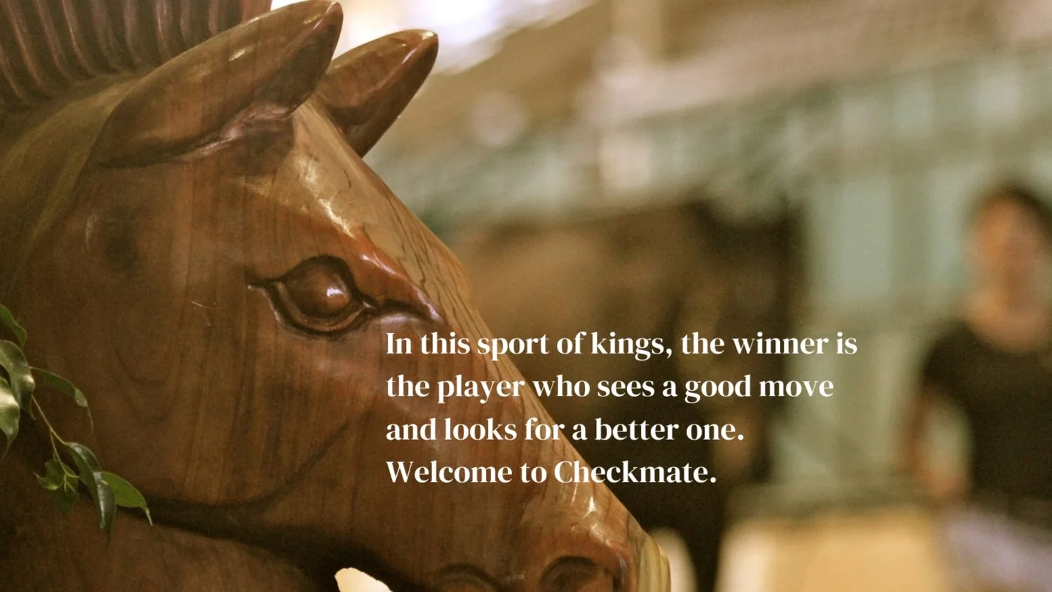 Checkmate Thoroughbreds | Thoroughbred Boarding, Bloodstock & Sales