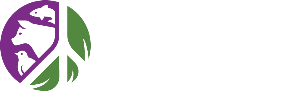 Pod Mapping — Transforming Culture