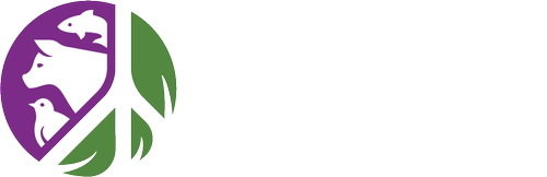 Pod Mapping — Transforming Culture