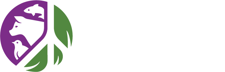 Pod Mapping — Transforming Culture