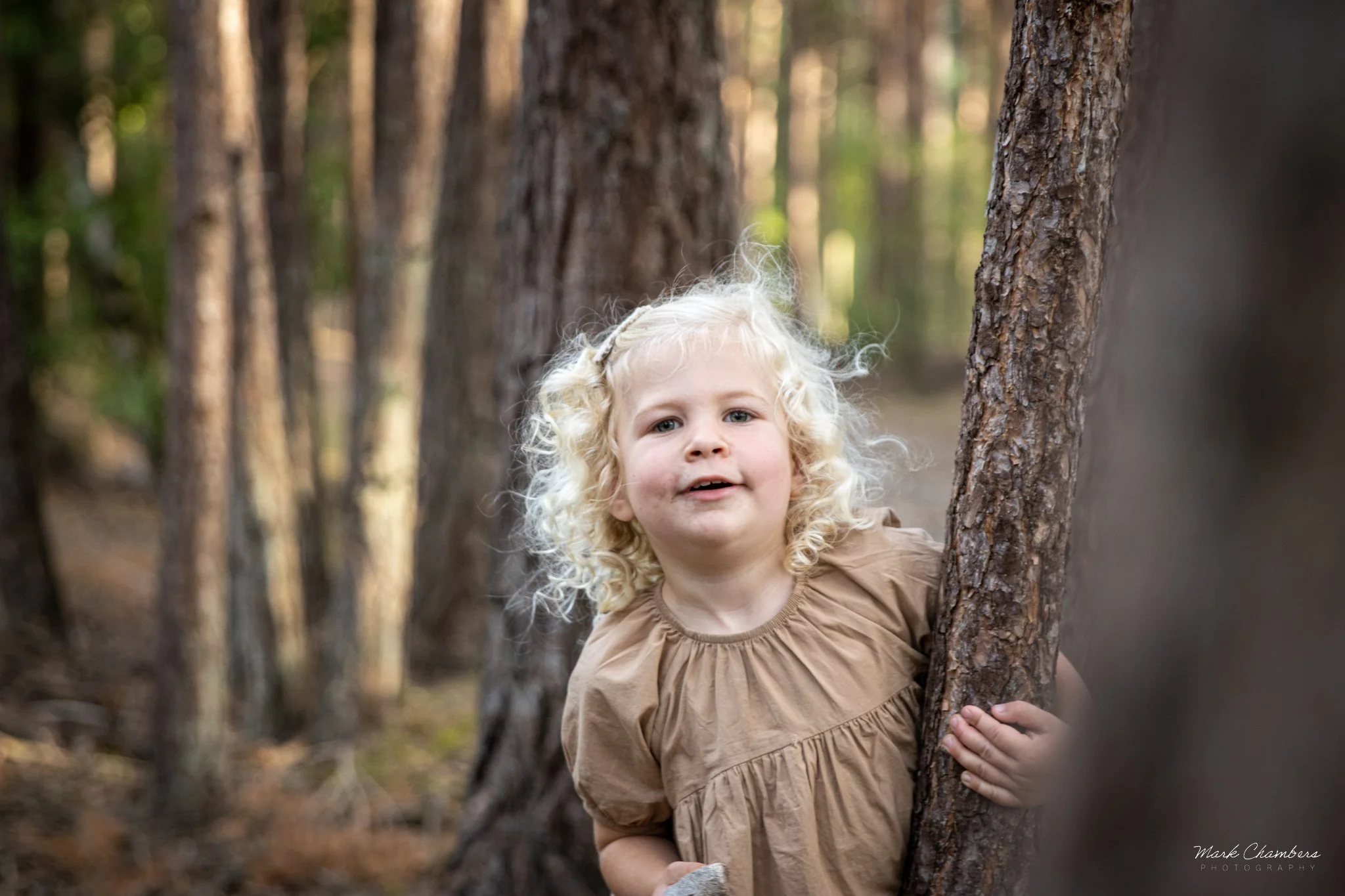 Photography Session Pricing — Mark Chambers Photography