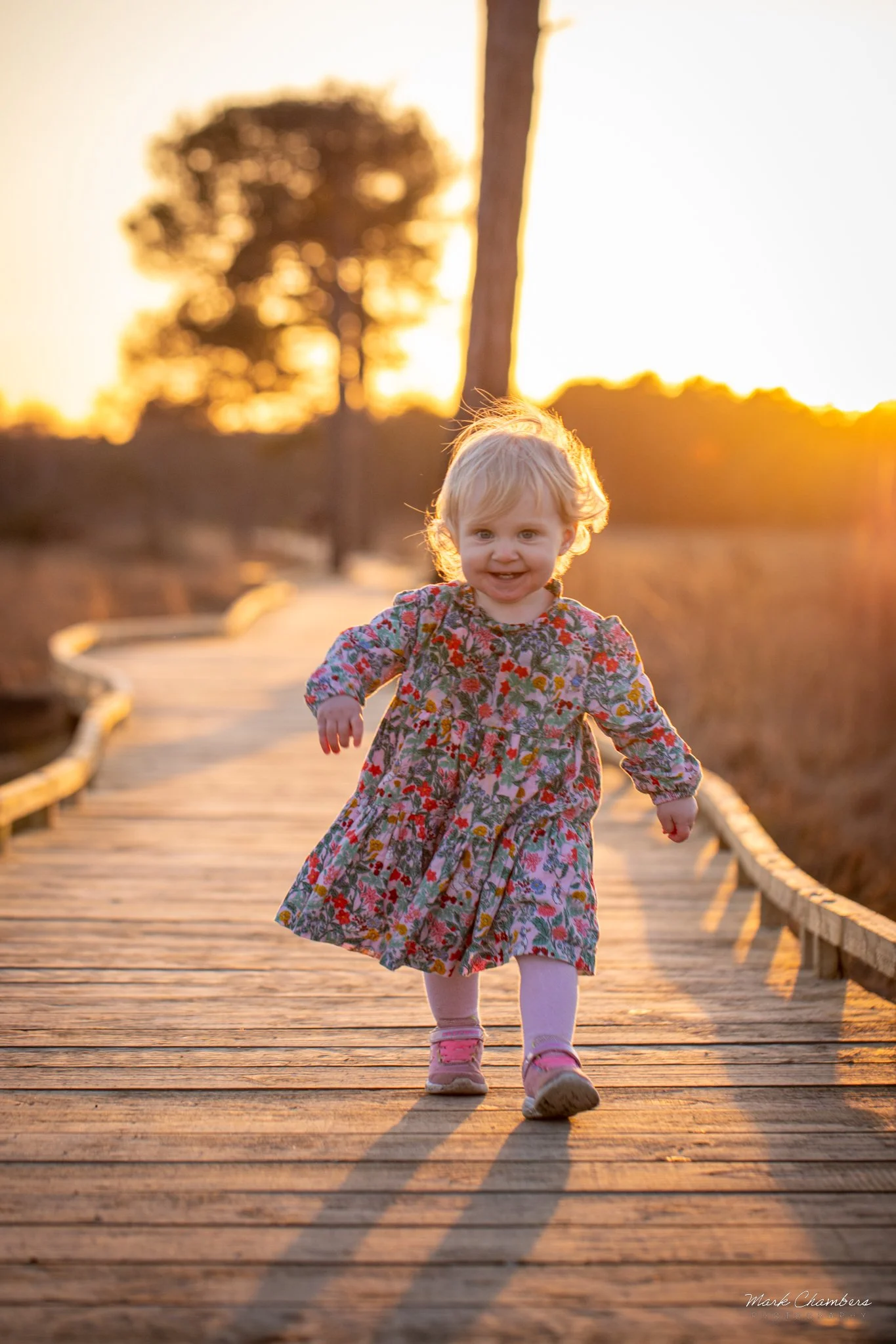 Photography Session Pricing — Mark Chambers Photography