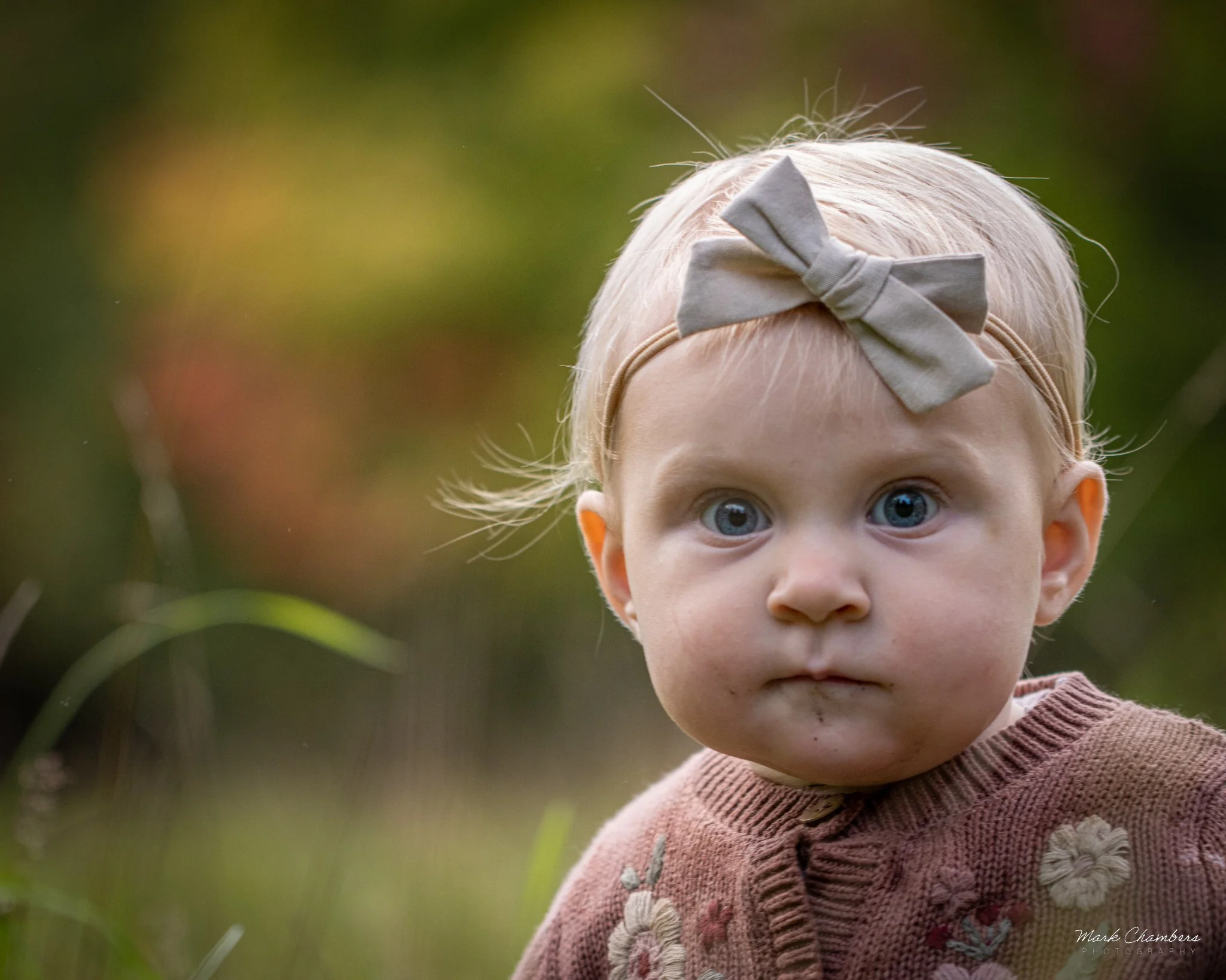 Mark Chambers Photography