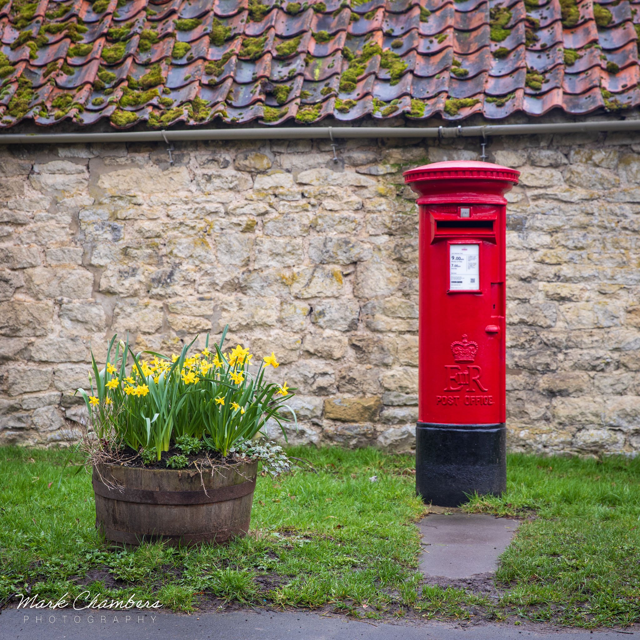 Spring in Yorkshire — Mark Chambers Photography