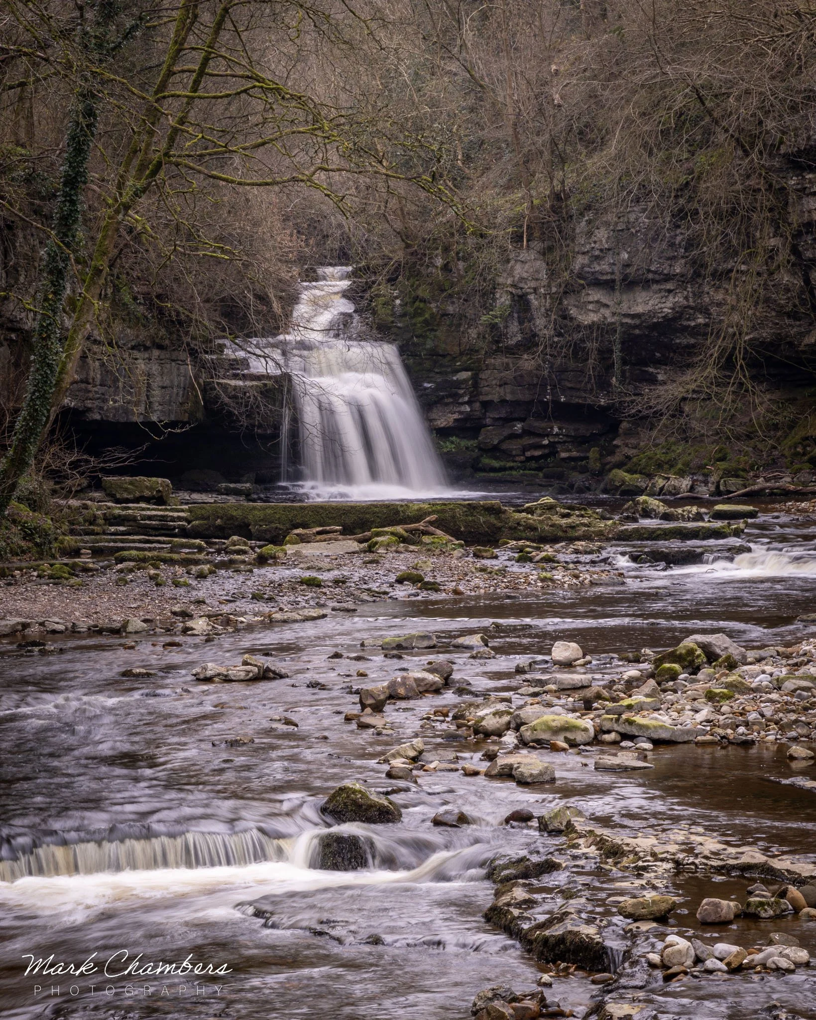 Spring in Yorkshire — Mark Chambers Photography
