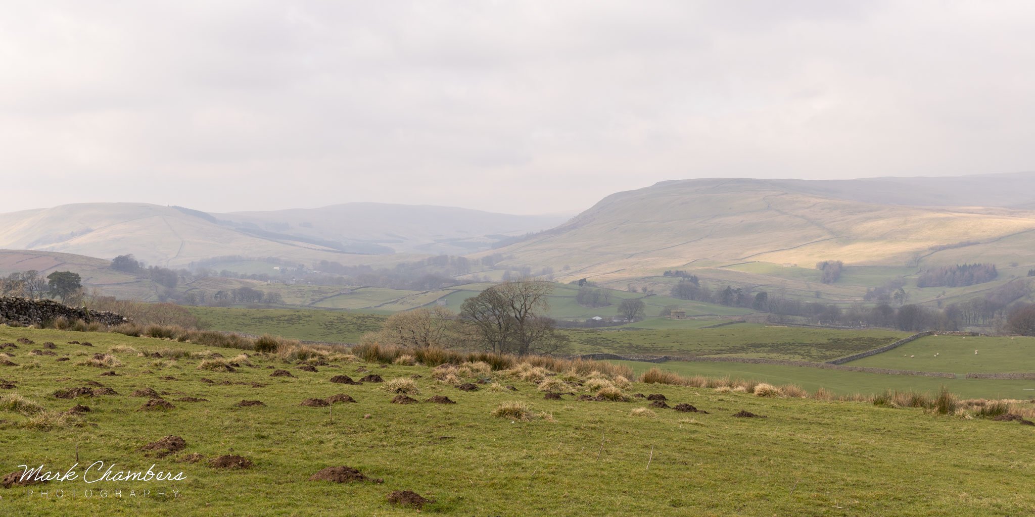 Spring in Yorkshire — Mark Chambers Photography